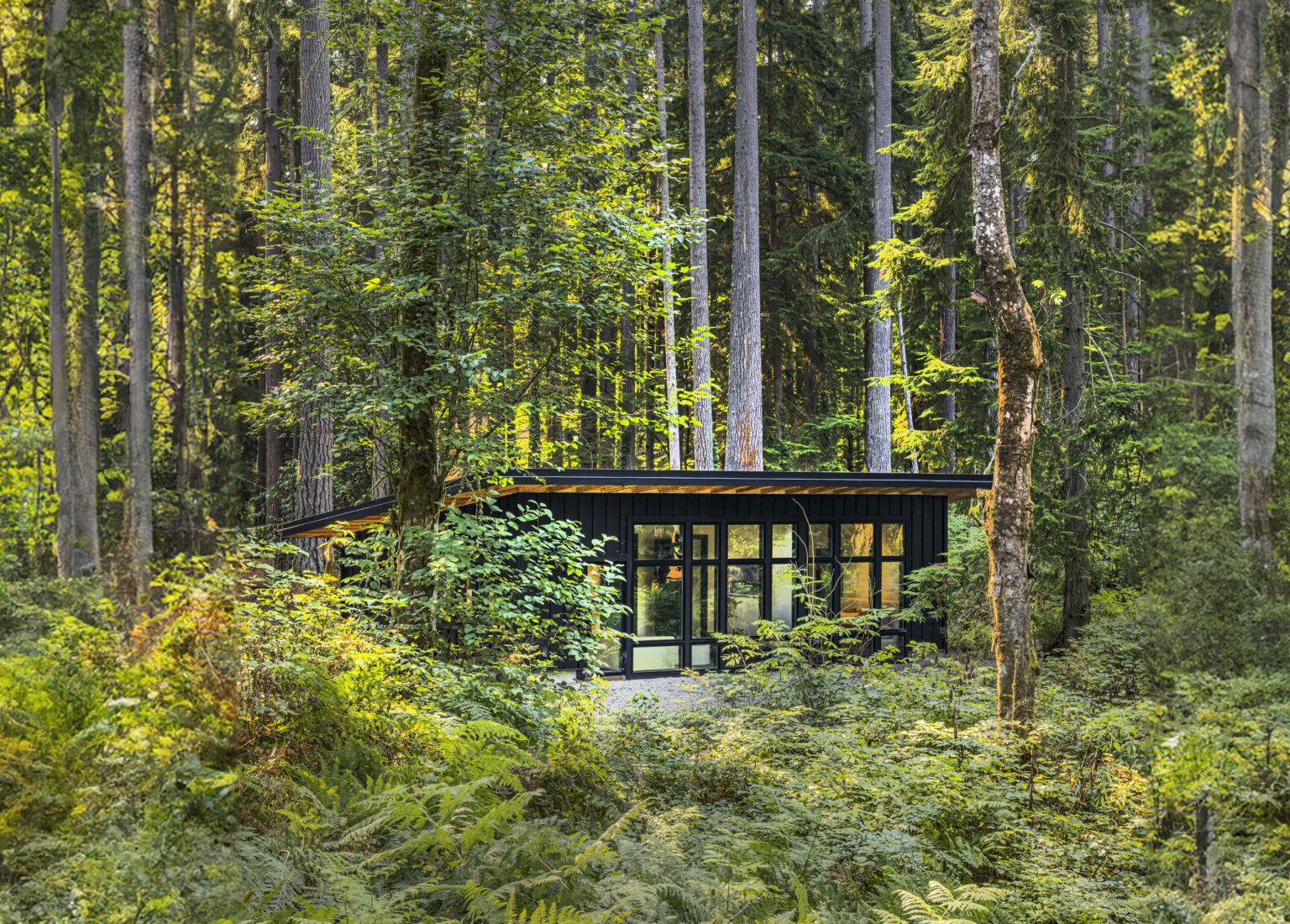 Seattle Residential Architects | Residential Designers Seattle